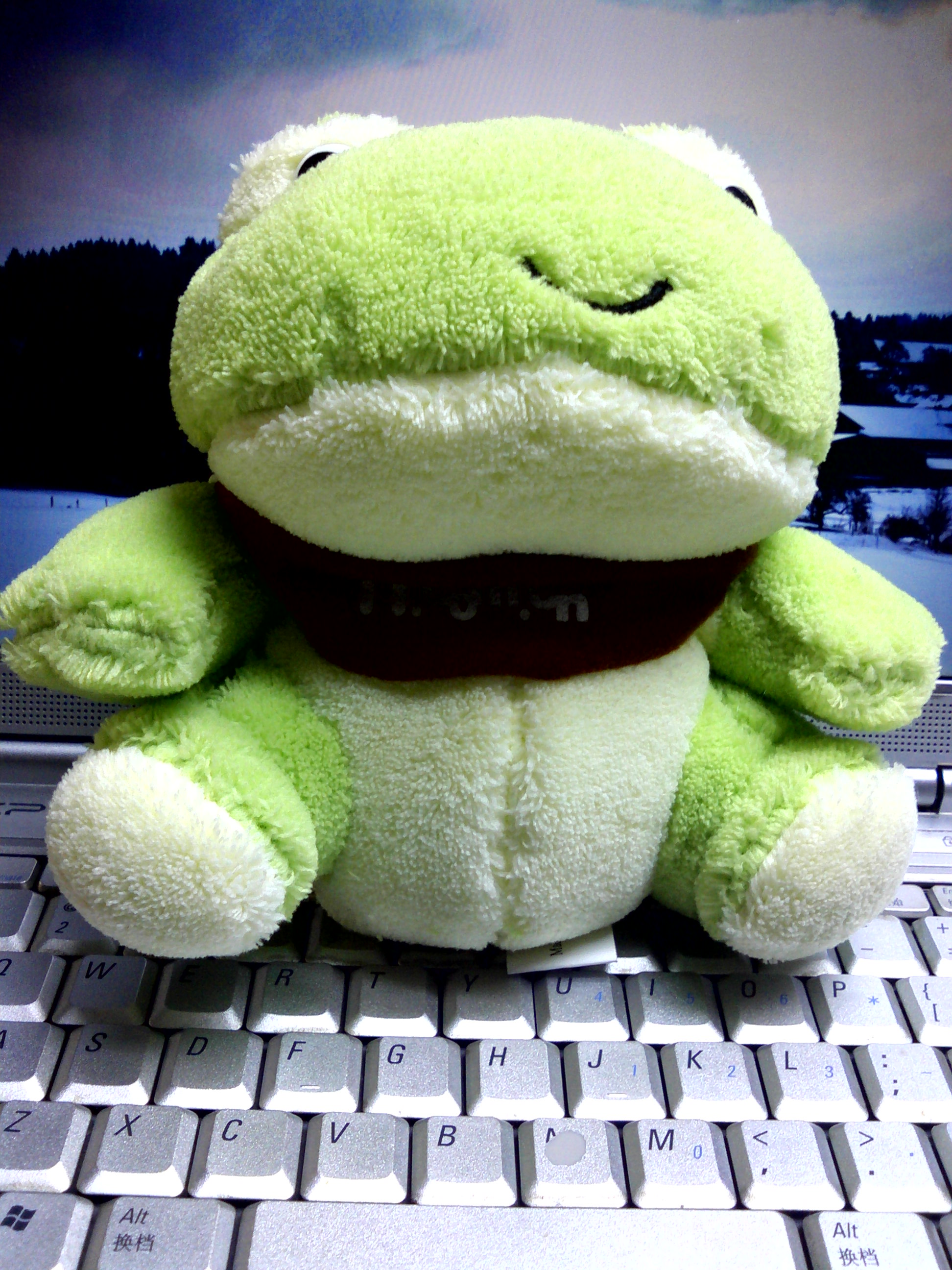 OPPO U529拍摄样张赏析_手机_科技时代_新浪网